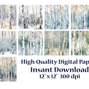Winter Forest Digital Paper,birch Digital Papers,birch Printable,forest ...