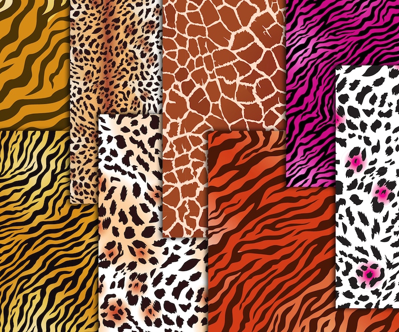 Animal Print Digital Paper: animal PRINT Paper | Etsy