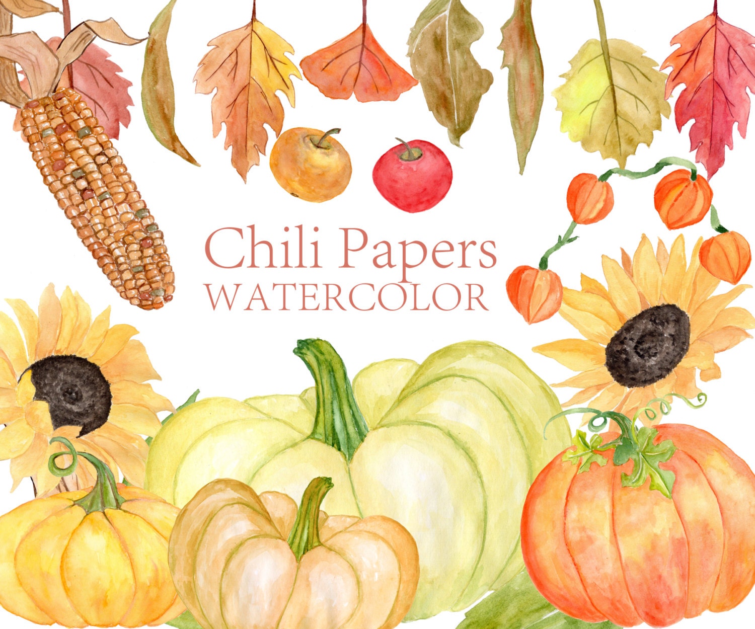 Watercolor Pumpkin Clipart: autumn Clipart Fall - Etsy