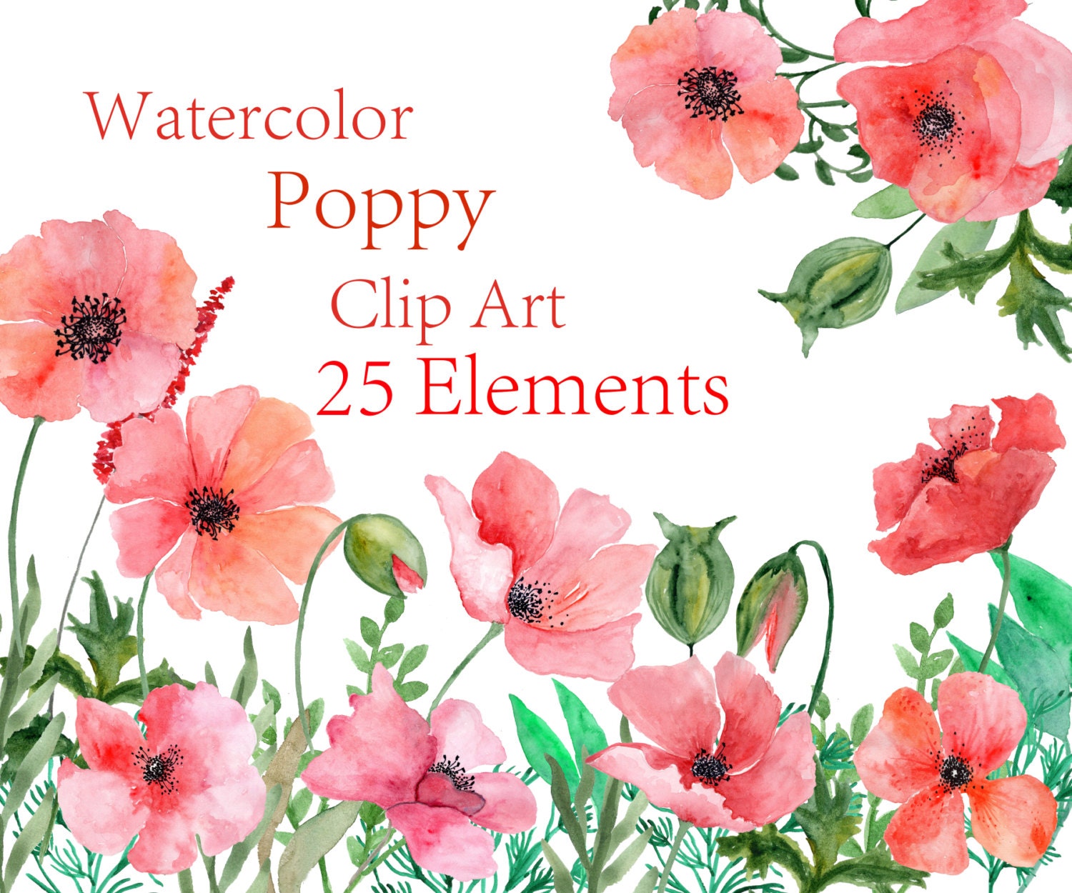 Watercolor Poppy flowers clipart Watercolor Floral clipart Red | Etsy
