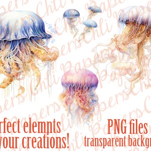 Watercolor Jellyfish Clipart,sea Creatures Png,jelly Fish Clipart ...