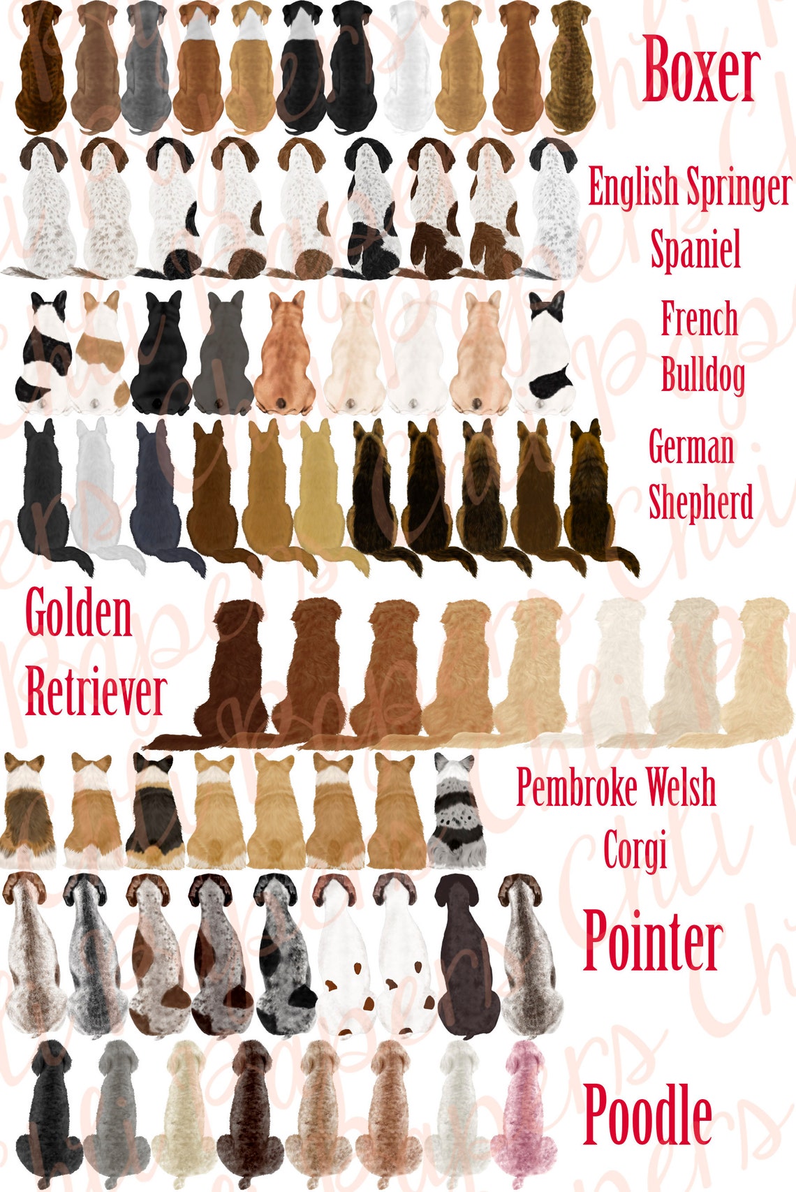 Dog Breeds Clipartdogs Clip Artpets Illustrationspuppies - Etsy