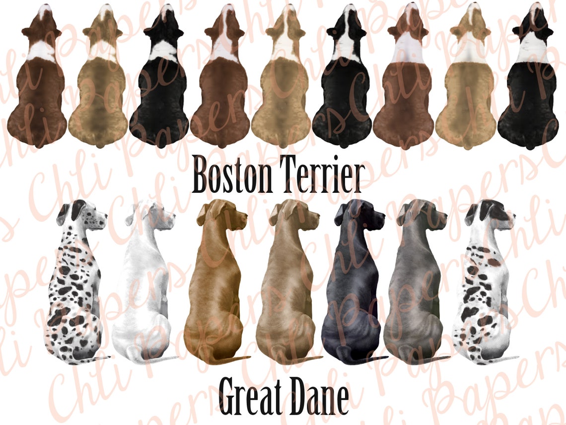 Dogs Clip Artdog Breeds Clipartpets Illustrationspuppies - Etsy