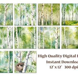 Green Forest Digital Paper,birch Digital Papers,birch Printable,forest ...