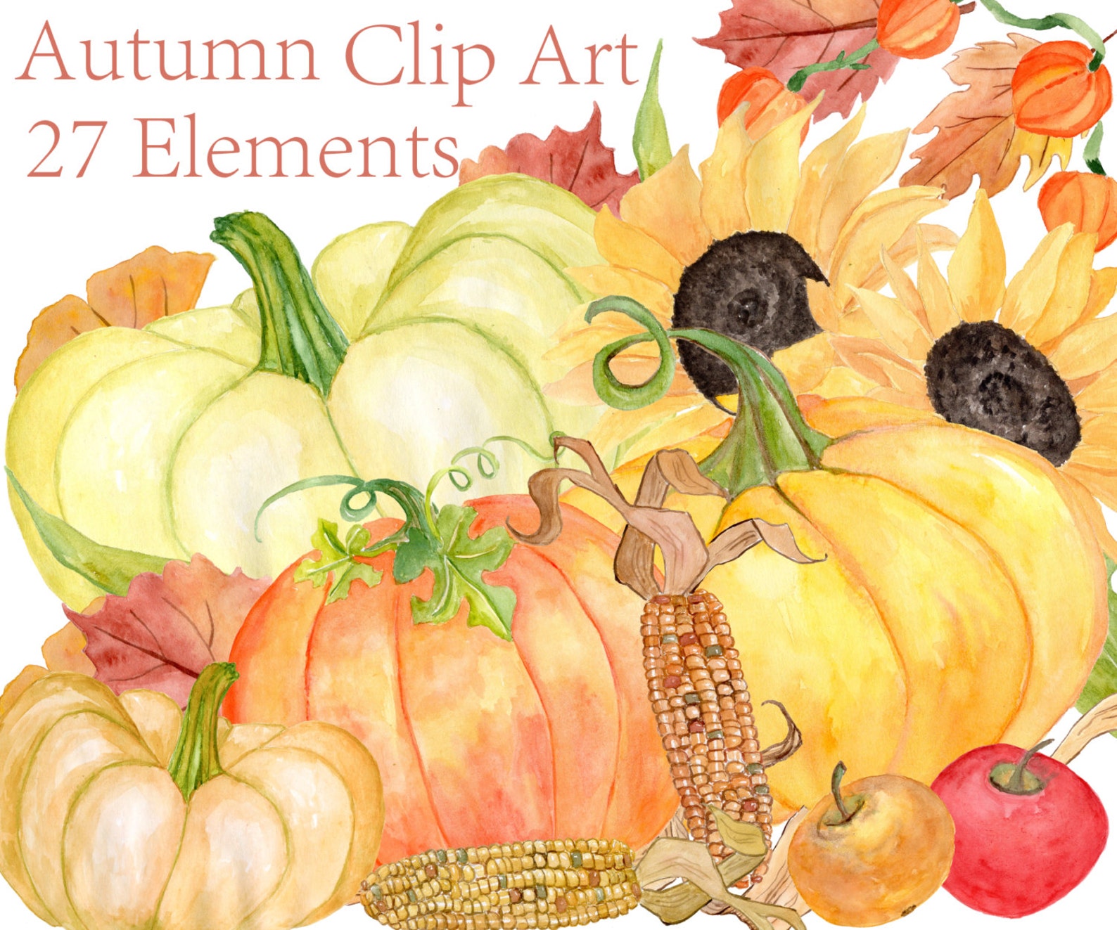 Watercolor Pumpkin Clipart: autumn Clipart Fall - Etsy
