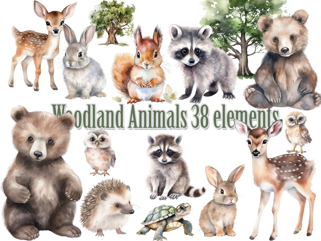 Woodland Animals Clipart,watercolor Animals Png,baby Animals Clipart ...