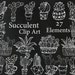 Chalkboard Succulent Clipart: cactus Clipart - Etsy Canada