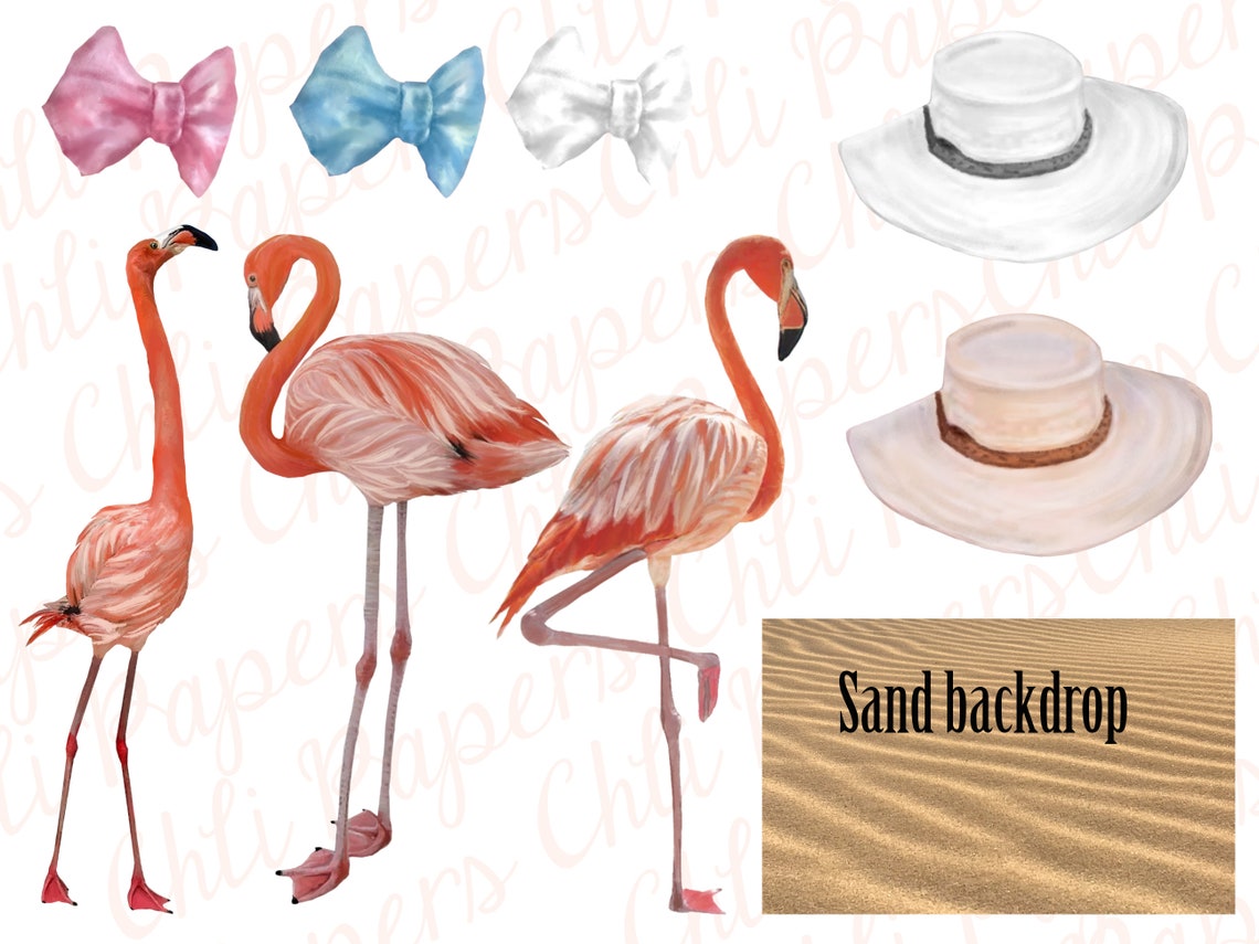 Summer Girls Clipartswimwear Girl Clipartflamingos | Etsy