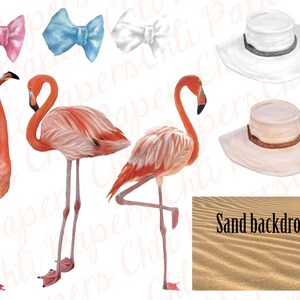 Summer Girls Clipart,swimwear Girl Clipart,flamingos Clipart,beach ...