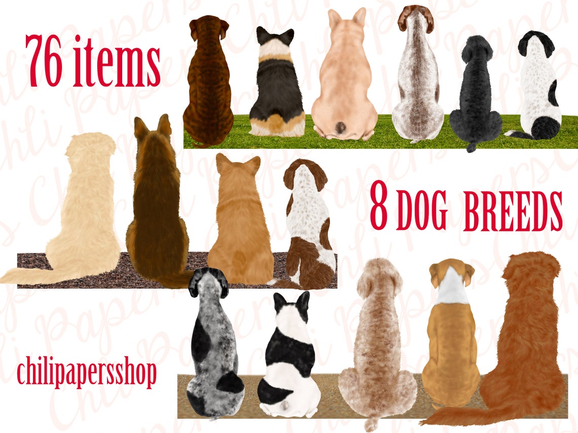 Dog Breeds Clipartdogs Clip Artpets Illustrationspuppies - Etsy