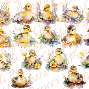 Ducklings Clipart,fluffy Ducklings Png,baby Duck Clipart,cute Farm ...