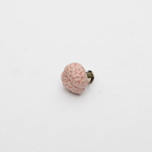 Tiny Brain. Porcelain Pin - Etsy