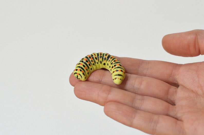 Caterpillar. Ceramic Pin - Etsy