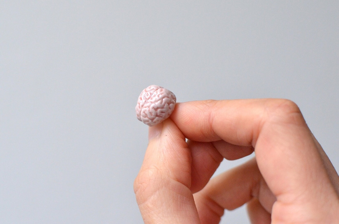 Tiny Brain. Porcelain Pin - Etsy