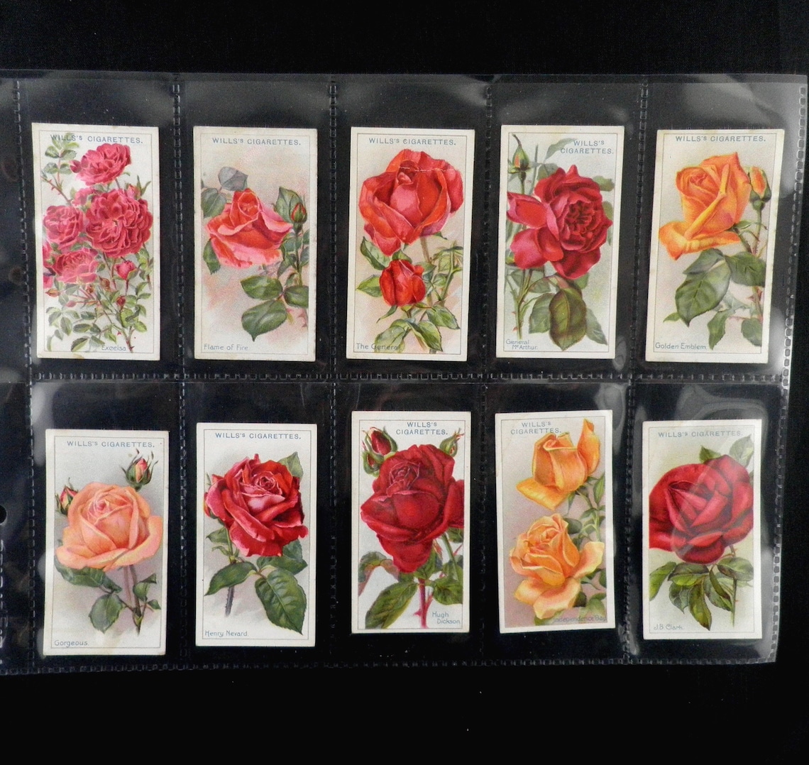 Roses Cigarette Cards by WD & HO Wills Issued 1926 Set of 50 Botany ...