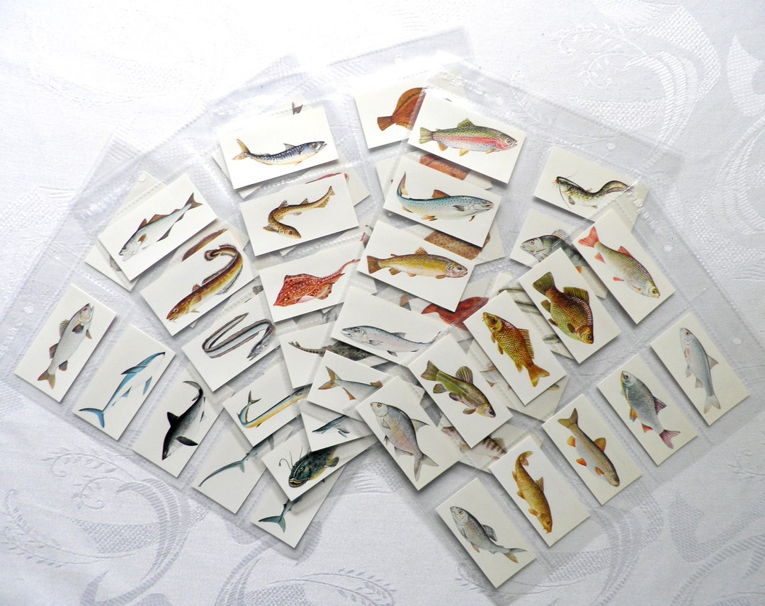 Sport Fish Cigarette Cards by Carreras Craven Black Cat 1978 Set of 50 ...