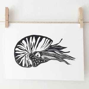 Nautilus Sea Shell Lino Print - Etsy
