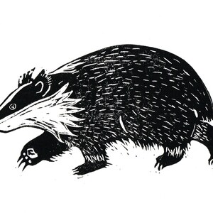 Badger Lino Print - Etsy UK