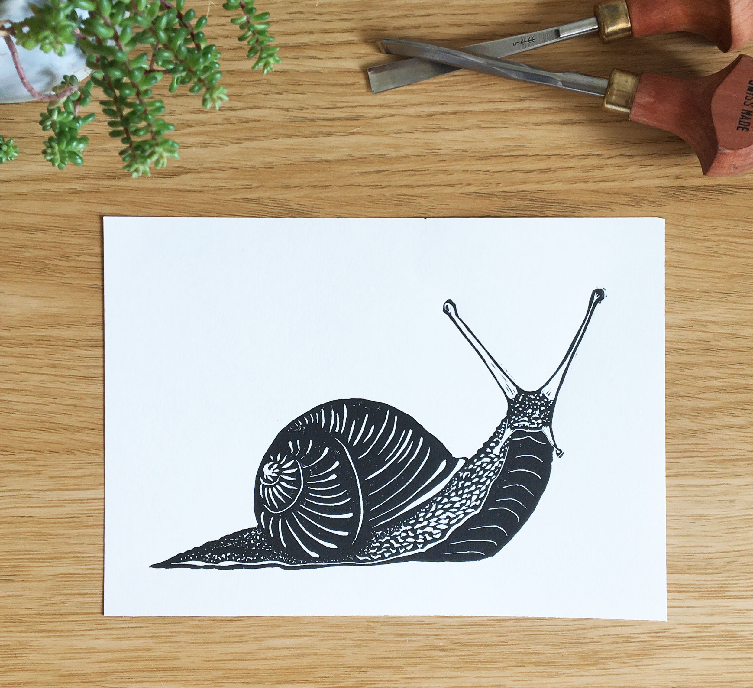 Original Snail Lino Print | Etsy