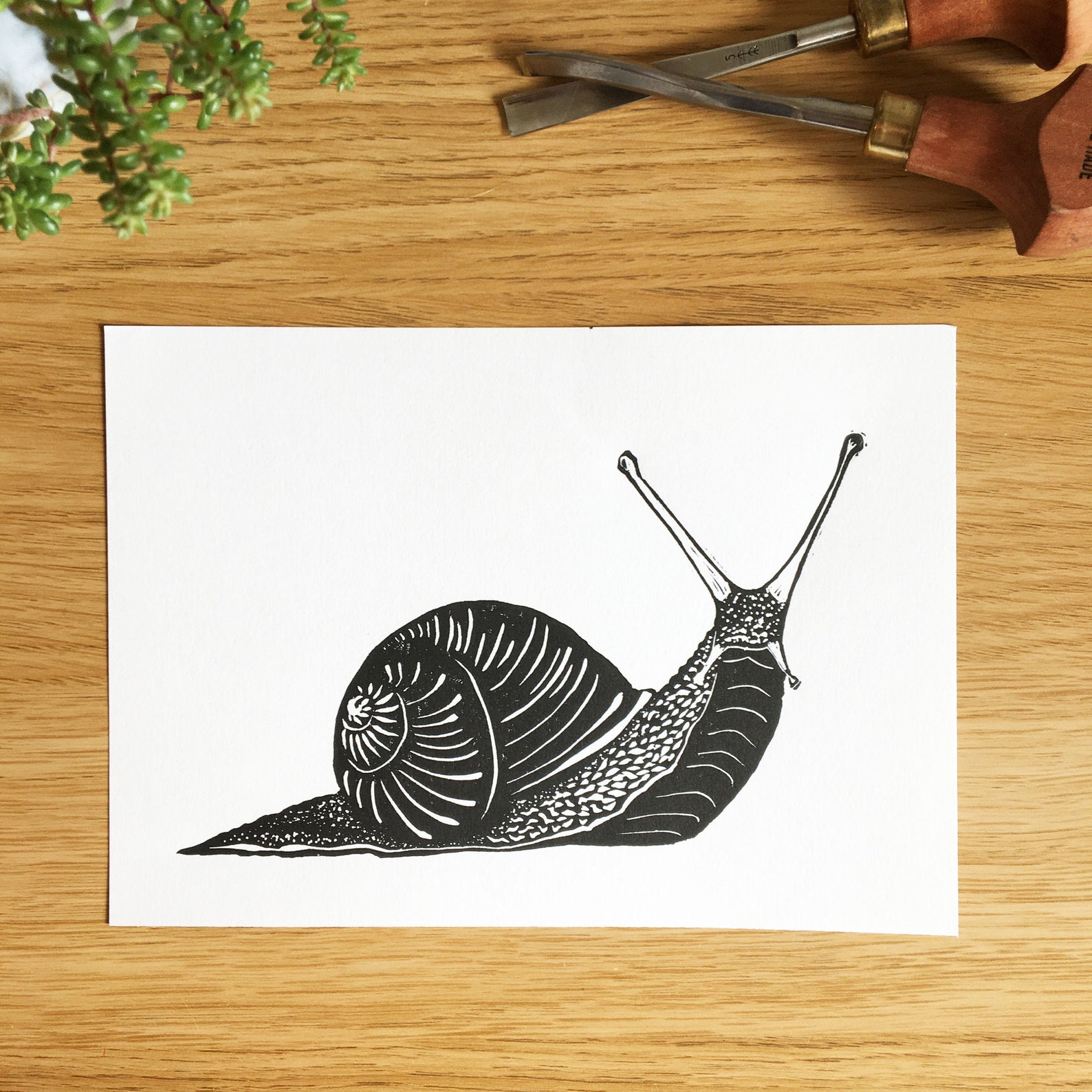 Original Snail Lino Print - Etsy