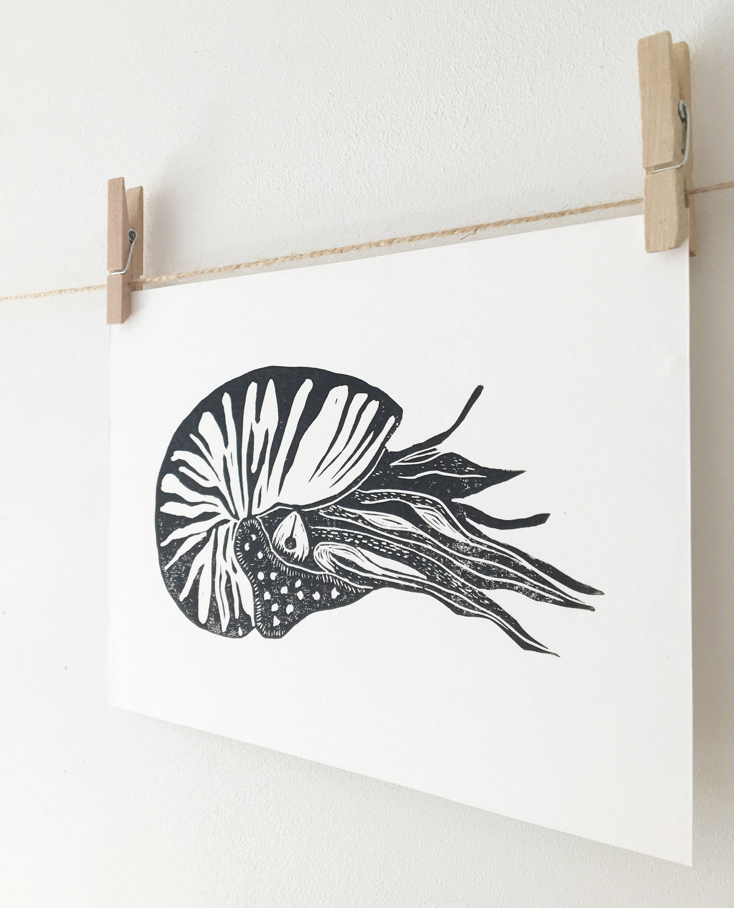 Nautilus Sea Shell Lino Print - Etsy UK