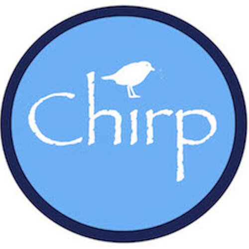 ChirpClothes - Etsy