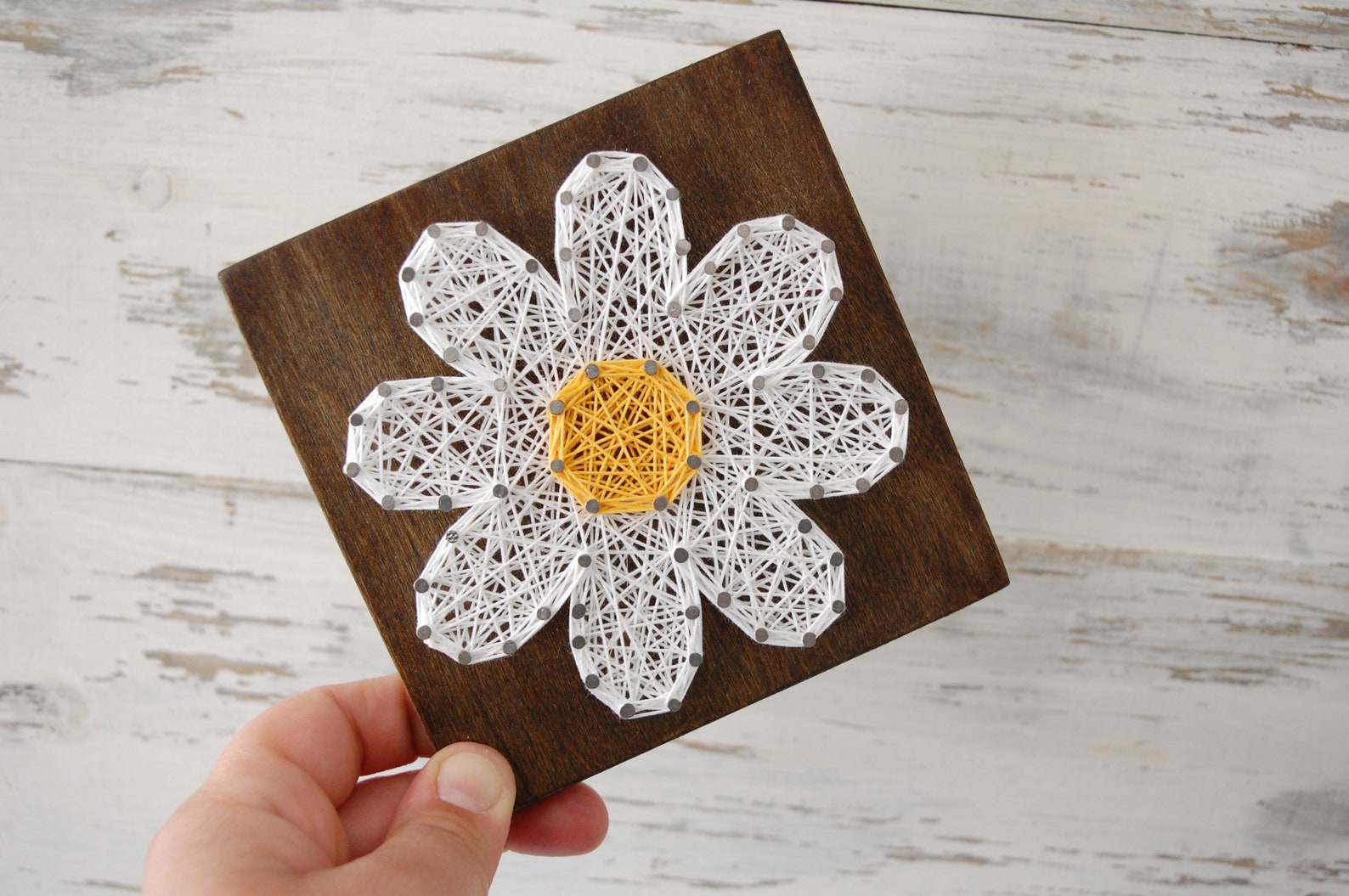 DAISY DIY String Art Kit Daisy Sign Plants and Flowers - Etsy