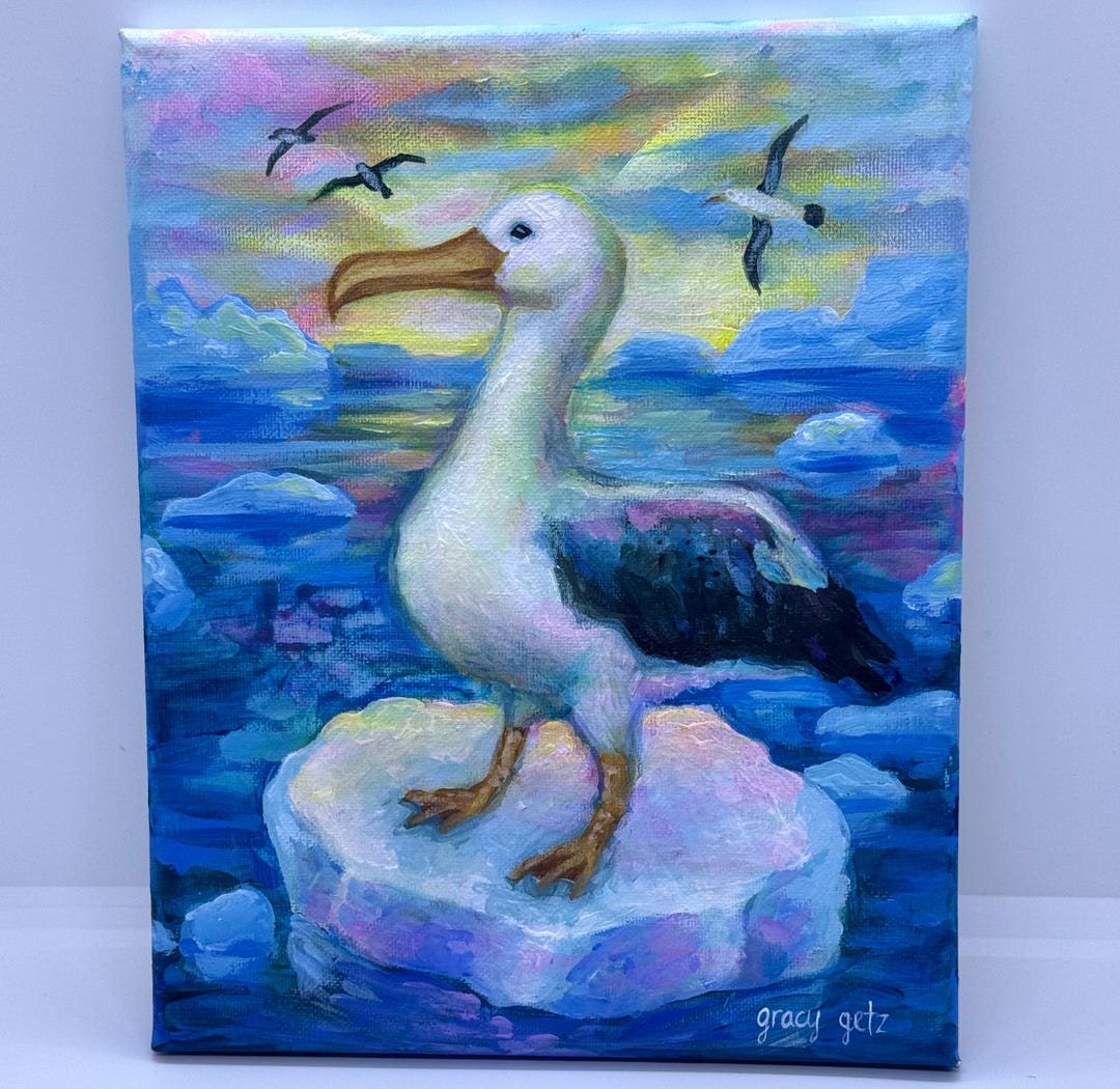 Albatross Original Painting - Etsy