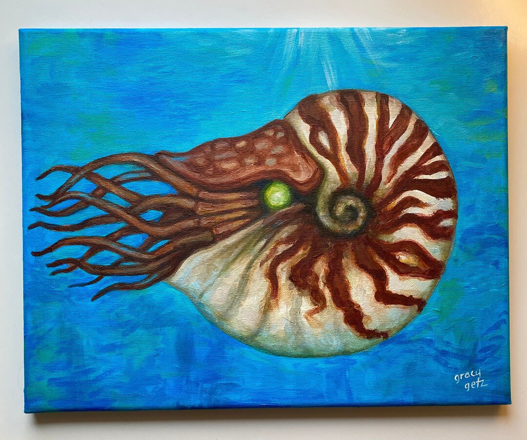 Nautilus Original Painting - Etsy