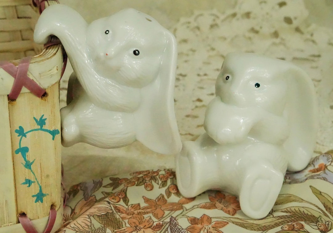 White Rabbit Salt Shakers/bunny Salt and Pepper Set/designed to Hang ...