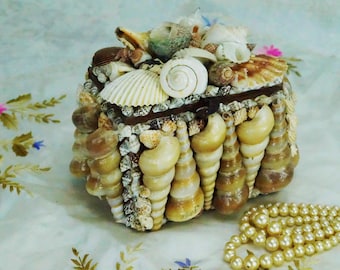 Seashell Jewelry Box - Etsy