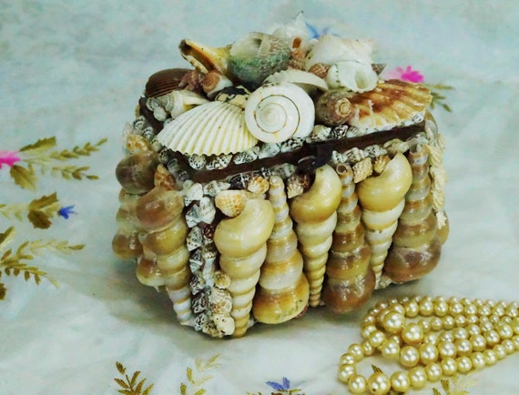 Seashell Jewelry Box/spiral Shells/gloss Finish/small/natural - Etsy