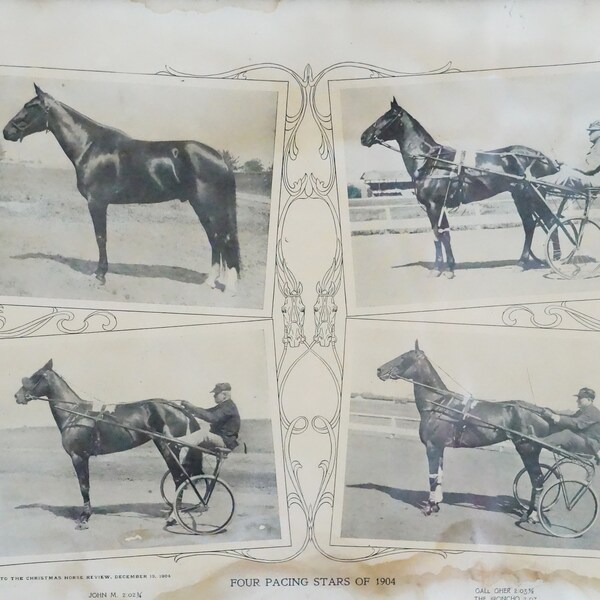 Harness Racing Sulky - Etsy