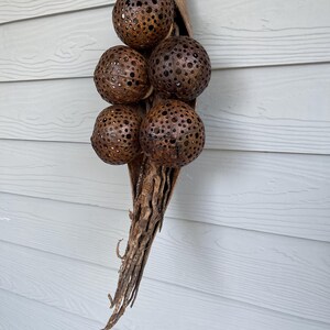 Hanging Lamp Wall Lamp Made of Coconut Shell Bedroom Lamp Light Coconut ...