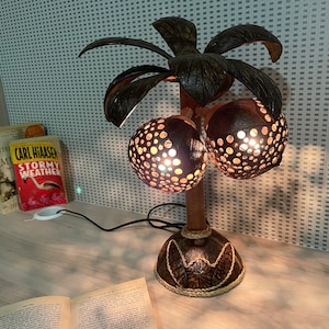 2 Balls Coconut Lamp Coconut Tree Shell Bedroom Lamp Tree Table Light ...