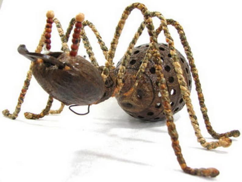 Ant Animal Lamp Coconut Shell Bedroom Lamp Table Floor Light - Etsy