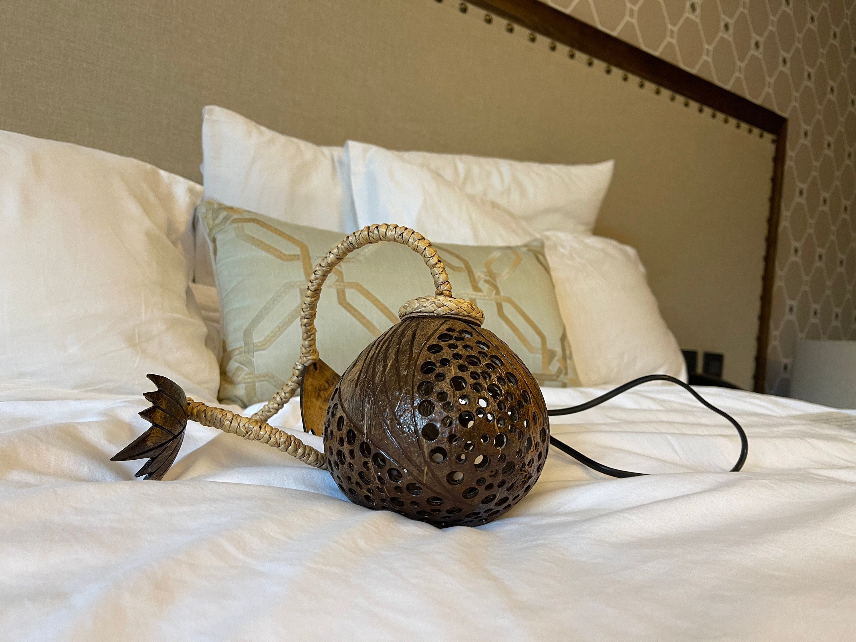 Hanging Ball Wooden Hanging Lamp Made of Coconut Shell Bedroom Lamp ...