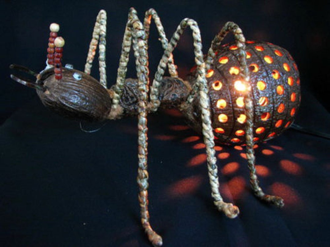 Ant Animal Lamp Coconut Shell Bedroom Lamp Table Floor Light Coconut ...