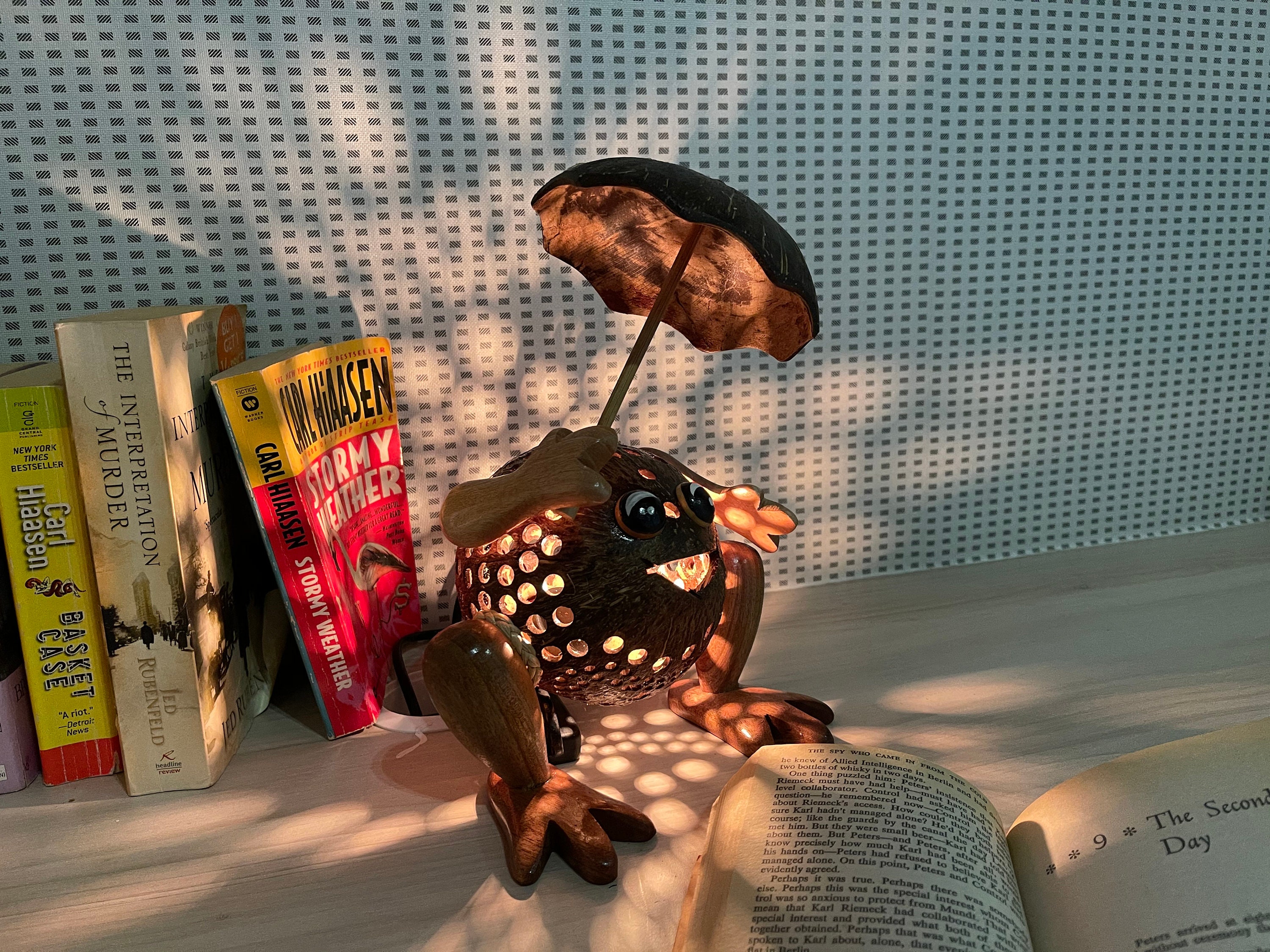 Frog Lamp Coconut Shell Bedroom Lamp Table Floor Light Coconut - Etsy