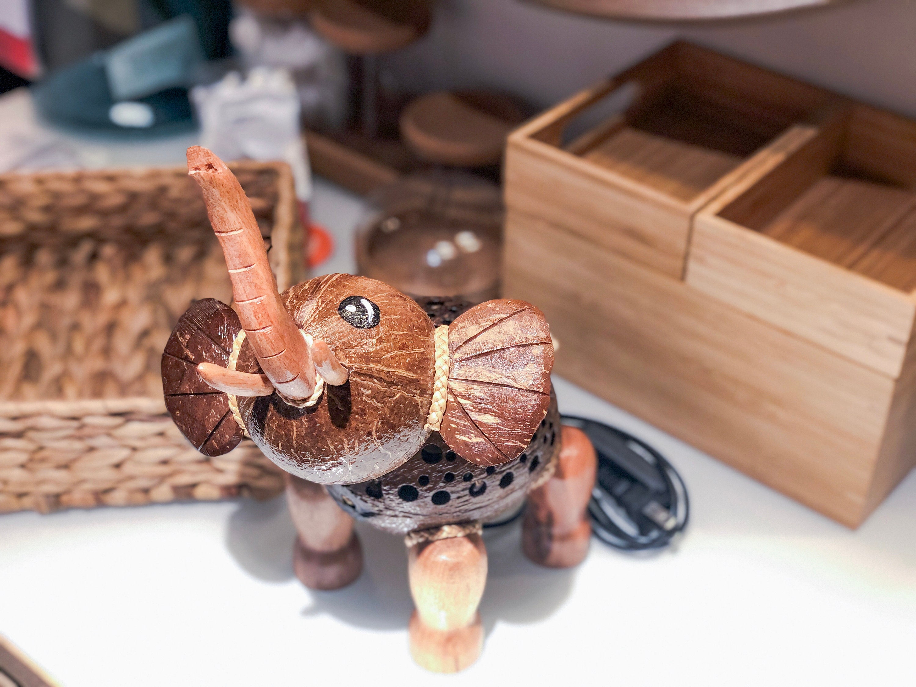 Elephant Coconut Lamp Gift Animal Lamp Coconut Shell Bedroom - Etsy