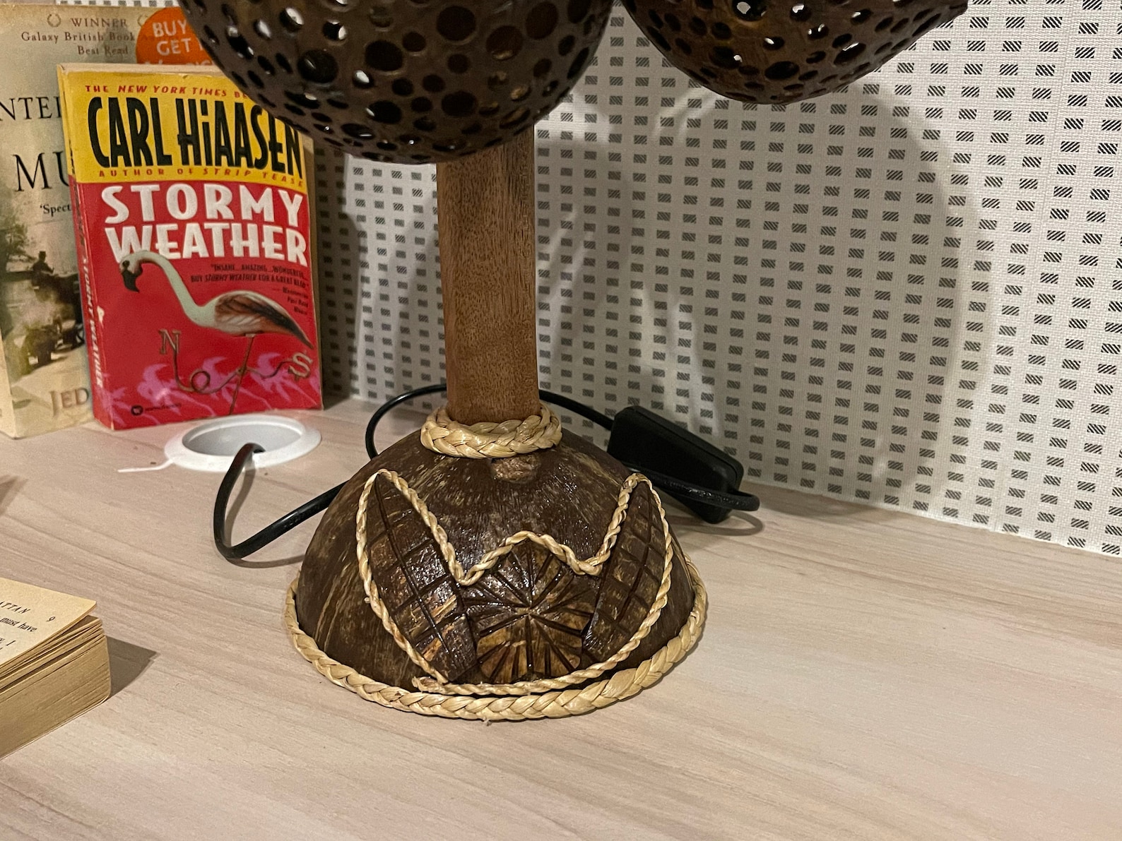 2 Balls Coconut Lamp Coconut Tree Shell Bedroom Lamp Tree Table Light ...