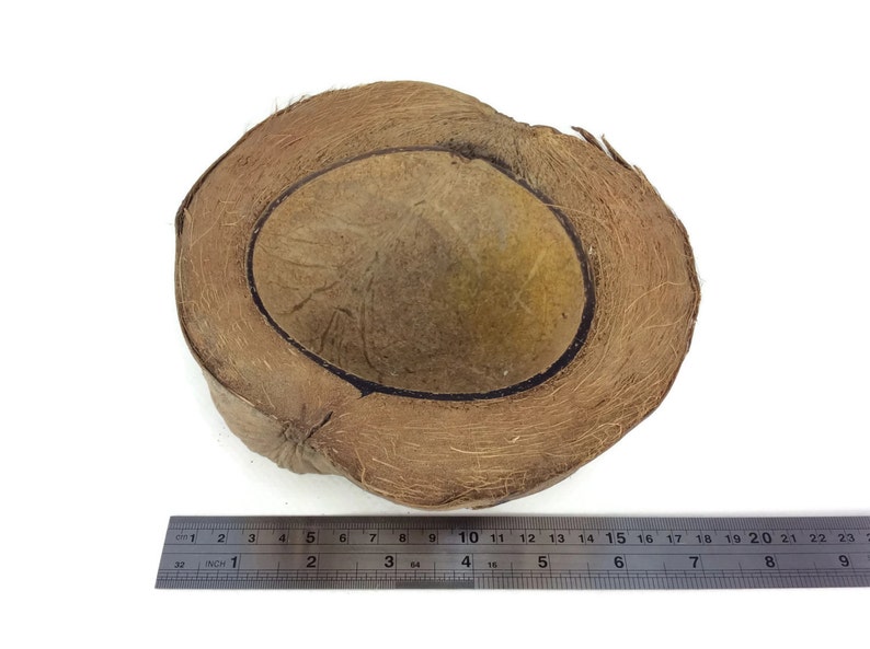Coconut Shell Epicarp Mesocarp Craft Handmade Wedding Decorative Decor ...