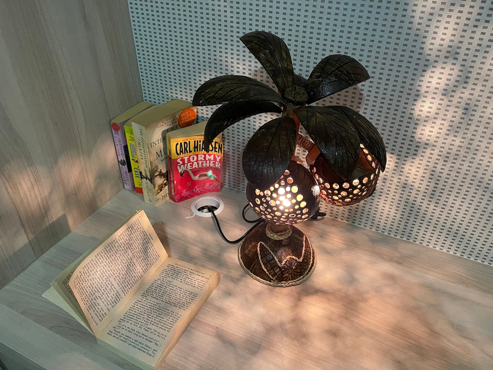 2 Balls Coconut Lamp Coconut Tree Shell Bedroom Lamp Tree Table Light ...
