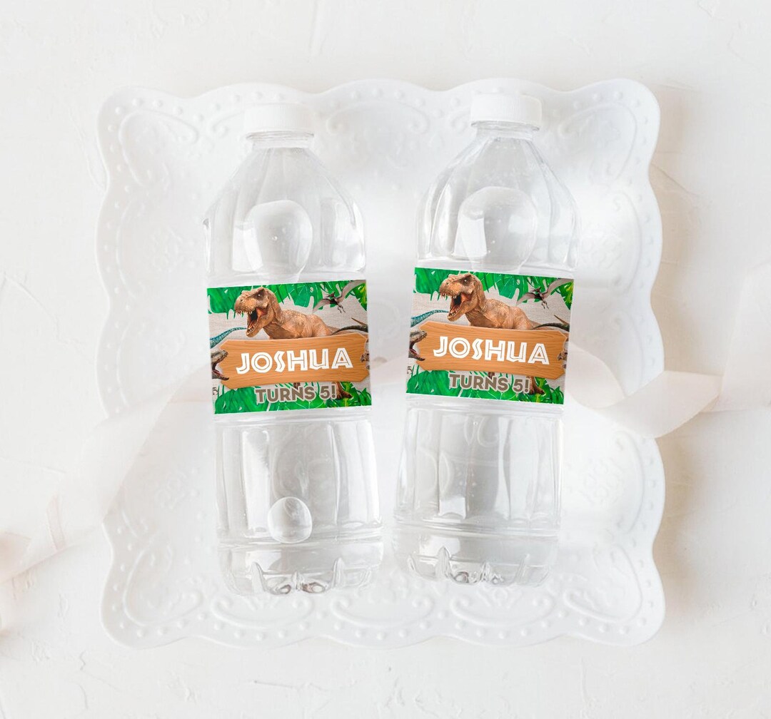 Dinosaur Water Bottle Labels, Personalized, Dinosaur Decoration ...