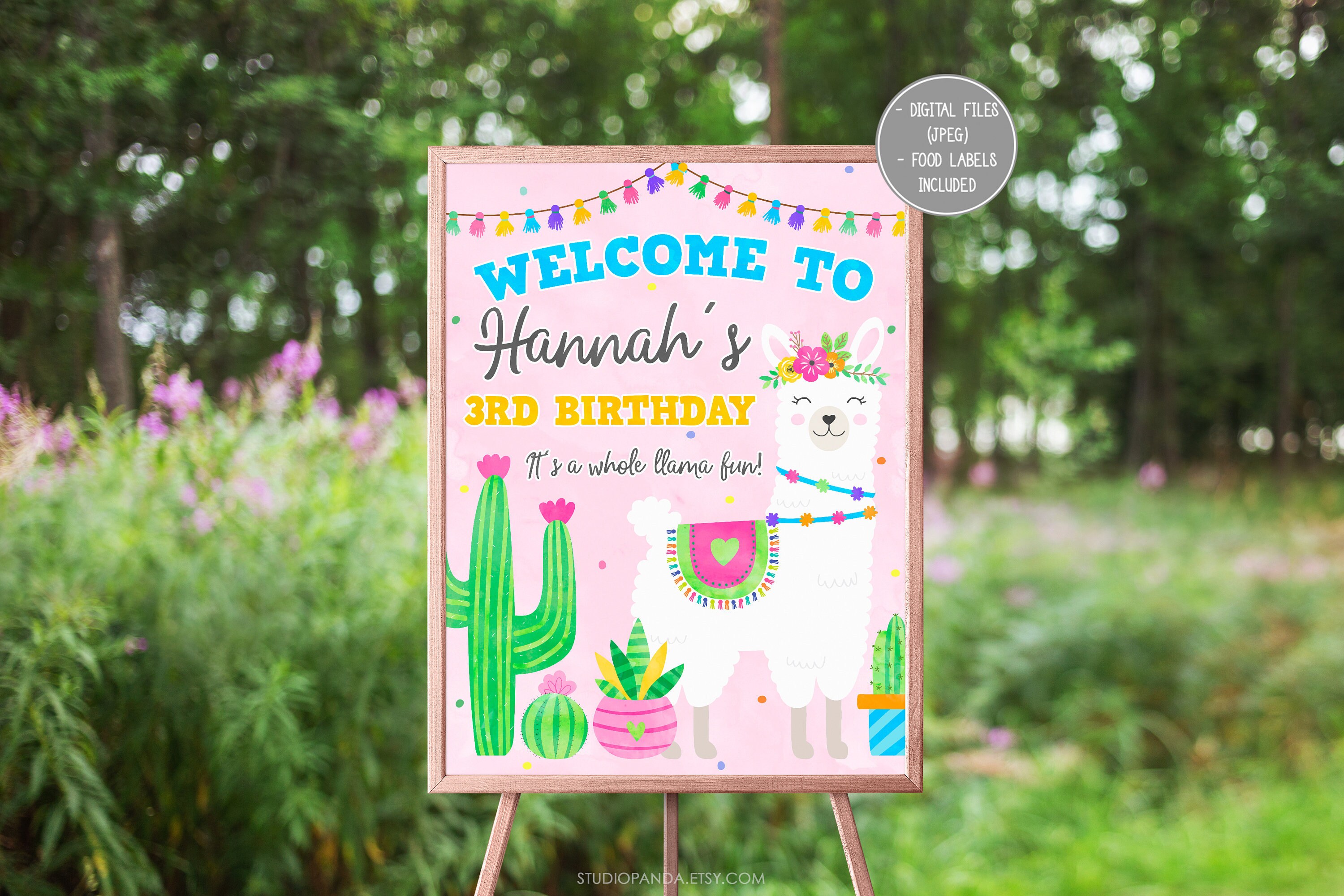 Llama Welcome Sign Personalized Llama Banner Llama Sign | Etsy