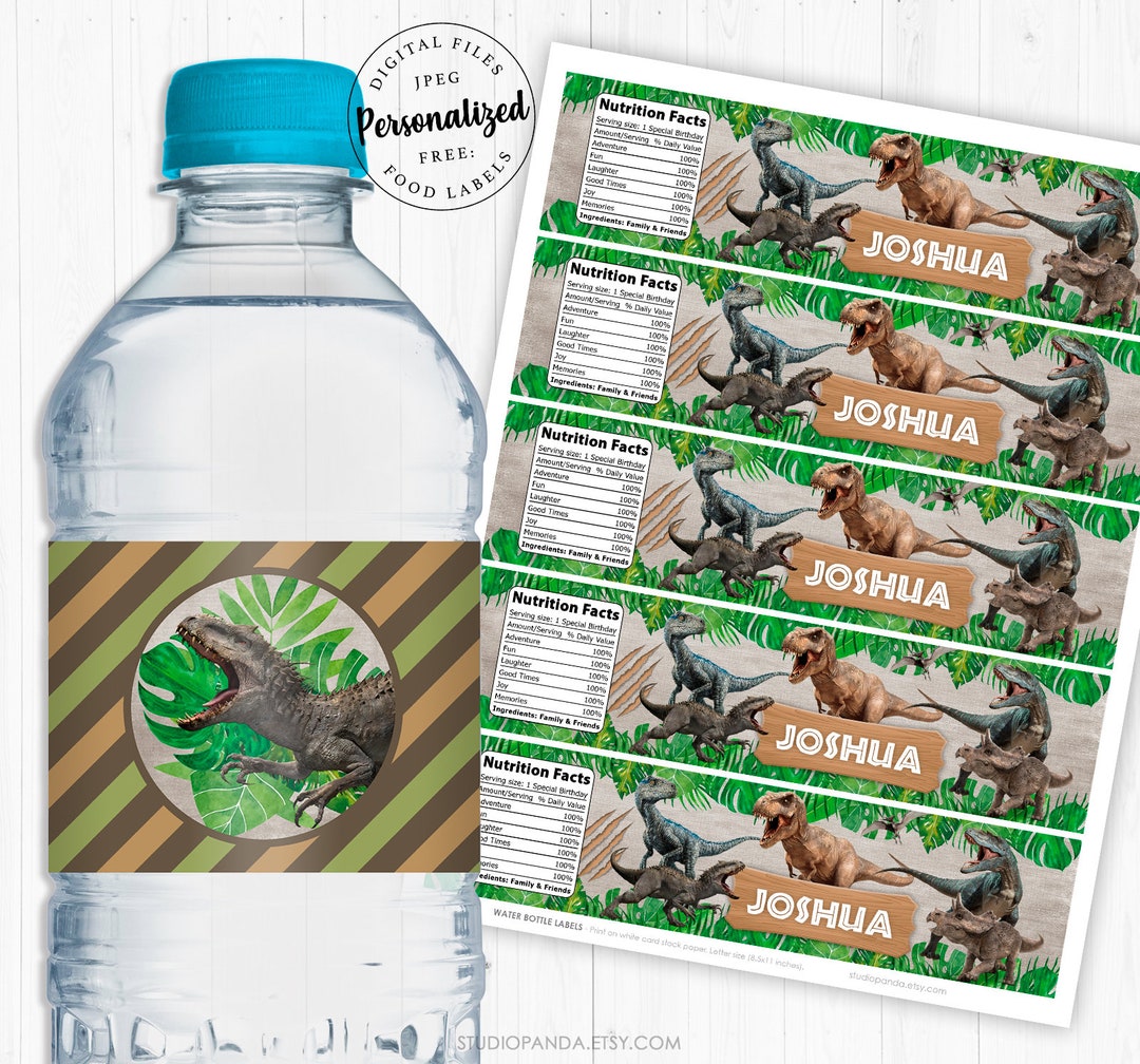 Dinosaur Water Bottle Labels, Personalized, Dinosaur Decoration ...