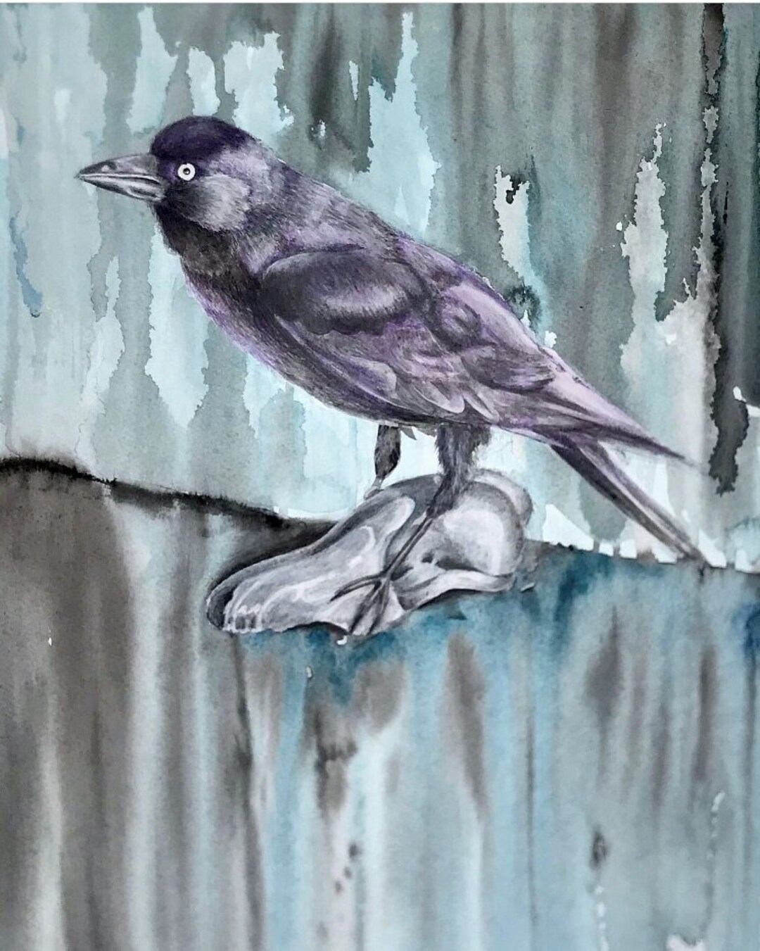 Jackdaw Original Painting Framed - Etsy