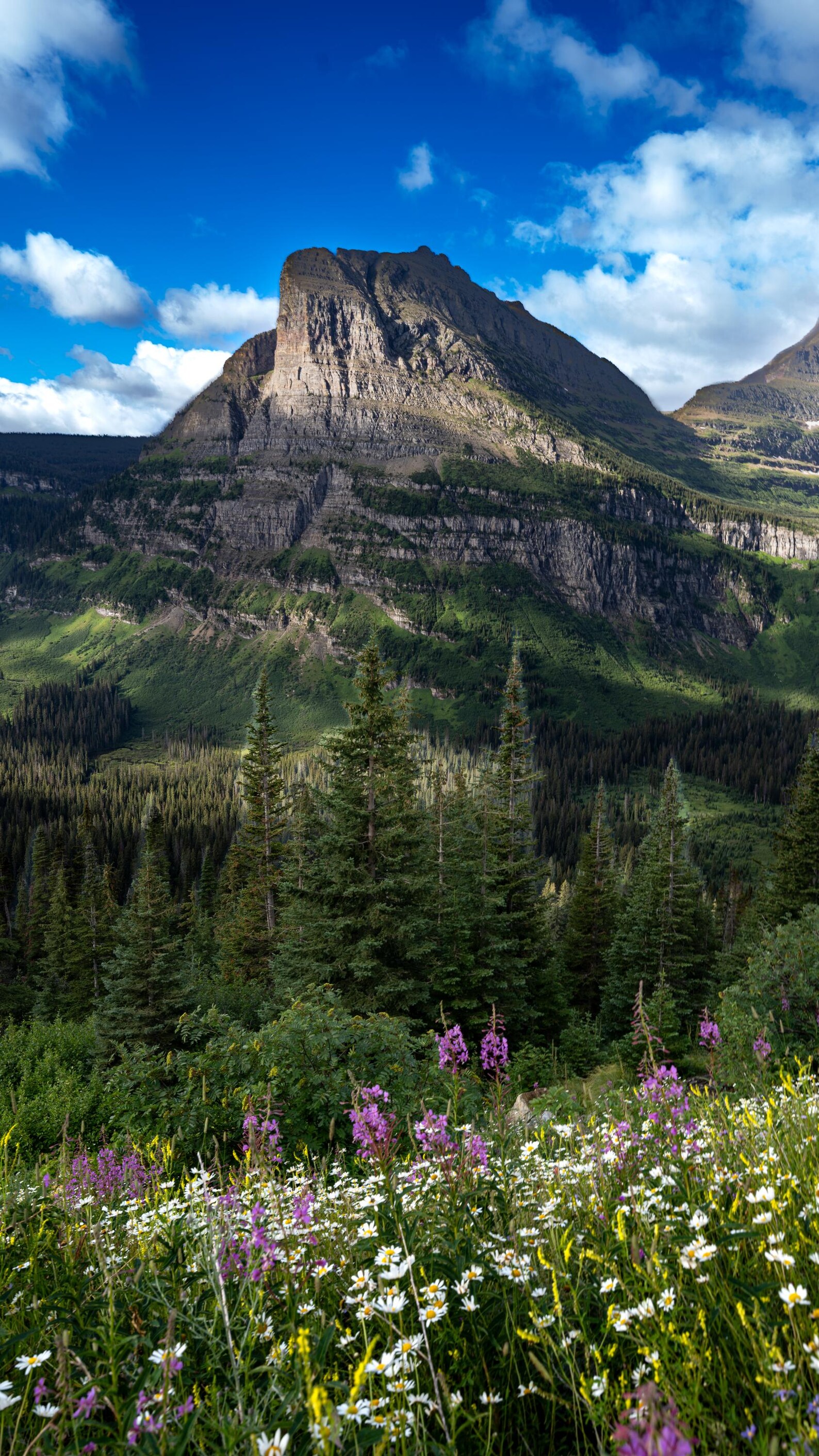 Glacier National Park Photograph: Heavy Runner Mountain - Etsy