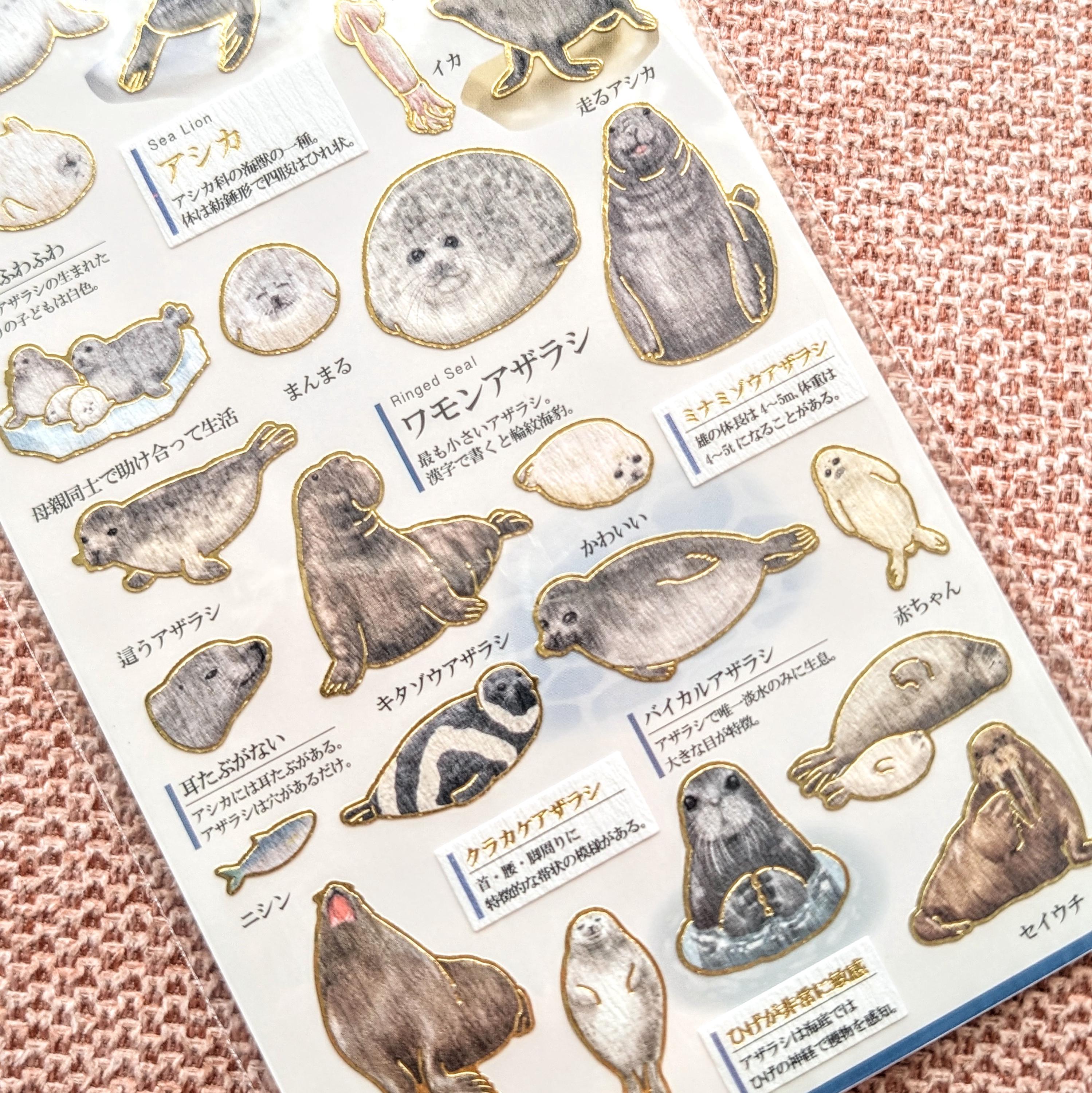 Marine Life Science | Encyclopedia Theme | Adult Sticker Sheet | Japan ...