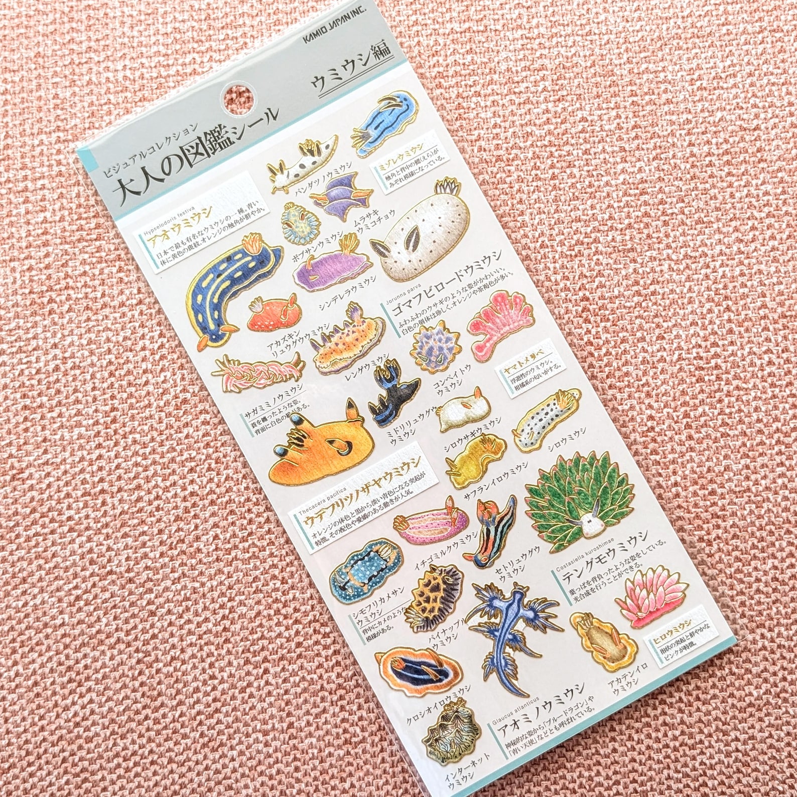 Marine Life Science | Encyclopedia Theme | Adult Sticker Sheet | Japan ...